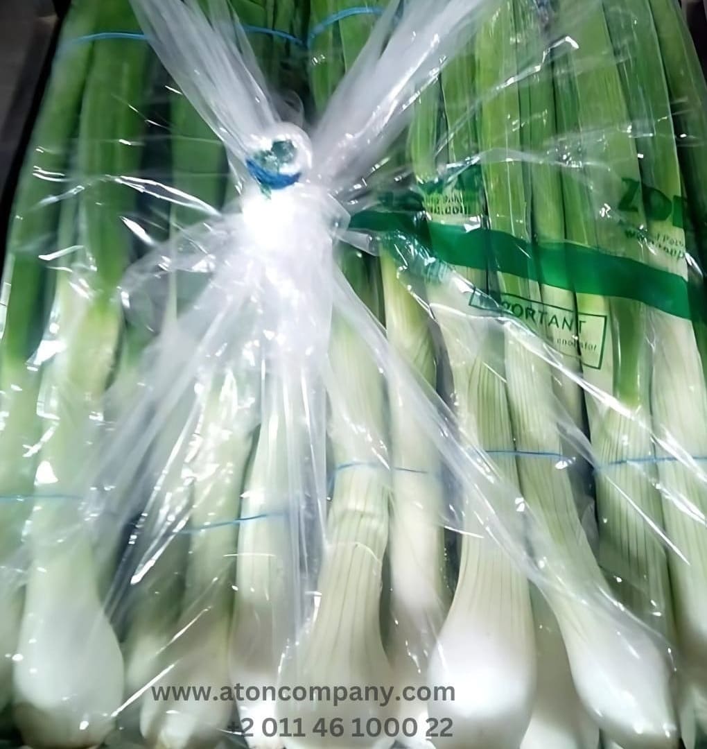 Import Spring Onions-spring onions from egypt